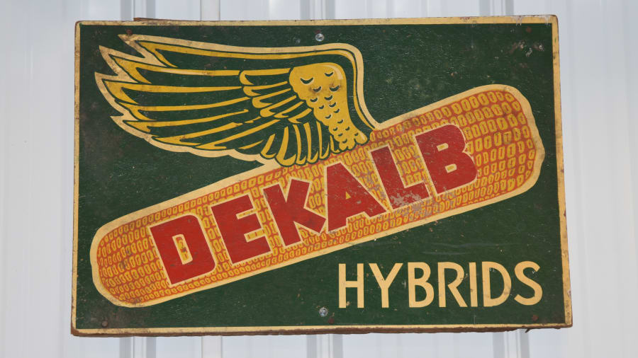 Dekalb Hybrids Ssc (cardboard) 16x24 for Sale at Auction - Mecum Auctions