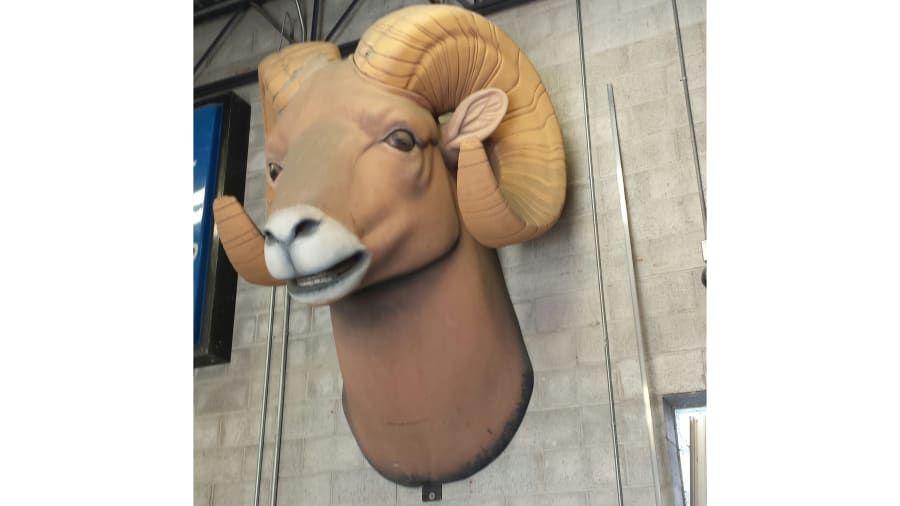 Dodge Ram Head Mount 90x72x57 for sale at Indy 2016 as J85 - Mecum Auctions