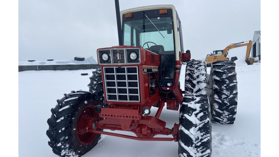 1981 International 1486 for Sale at Auction - Mecum Auctions