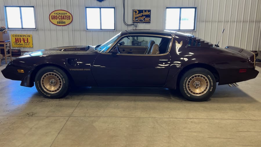 1981 Pontiac Turbo Trans Am for Sale at Auction - Mecum Auctions