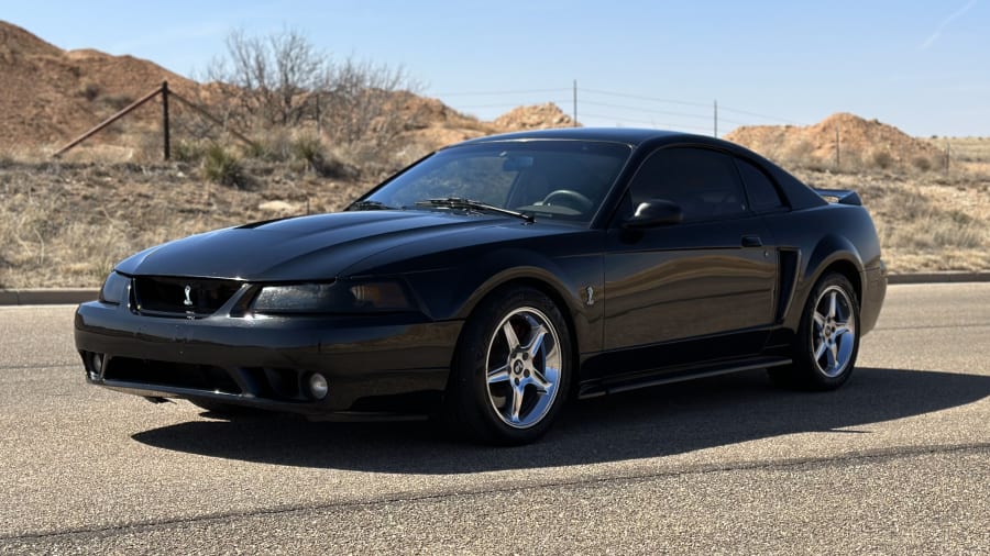 1999 Ford Mustang SVT Cobra for Sale at Auction - Mecum Auctions