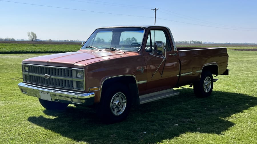 1981 Chevrolet C20 Camper Special Pickup for Sale at Auction - Mecum ...