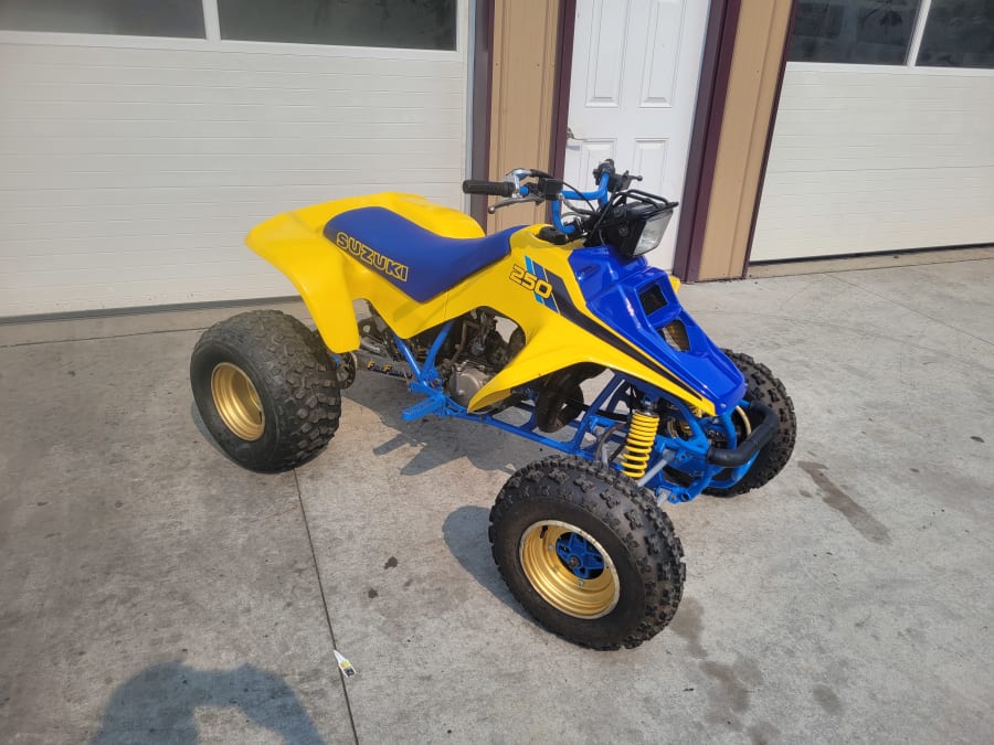 1986 Suzuki LT 250R for Sale at Auction - Mecum Auctions