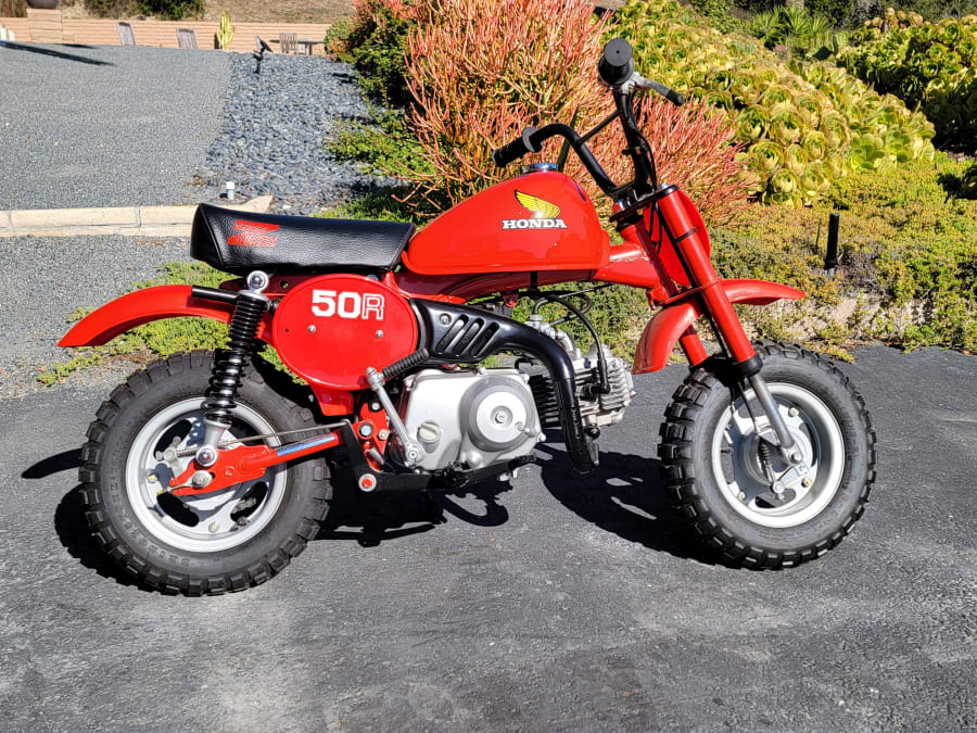1981 Honda Z50R for Sale at Auction - Mecum Auctions
