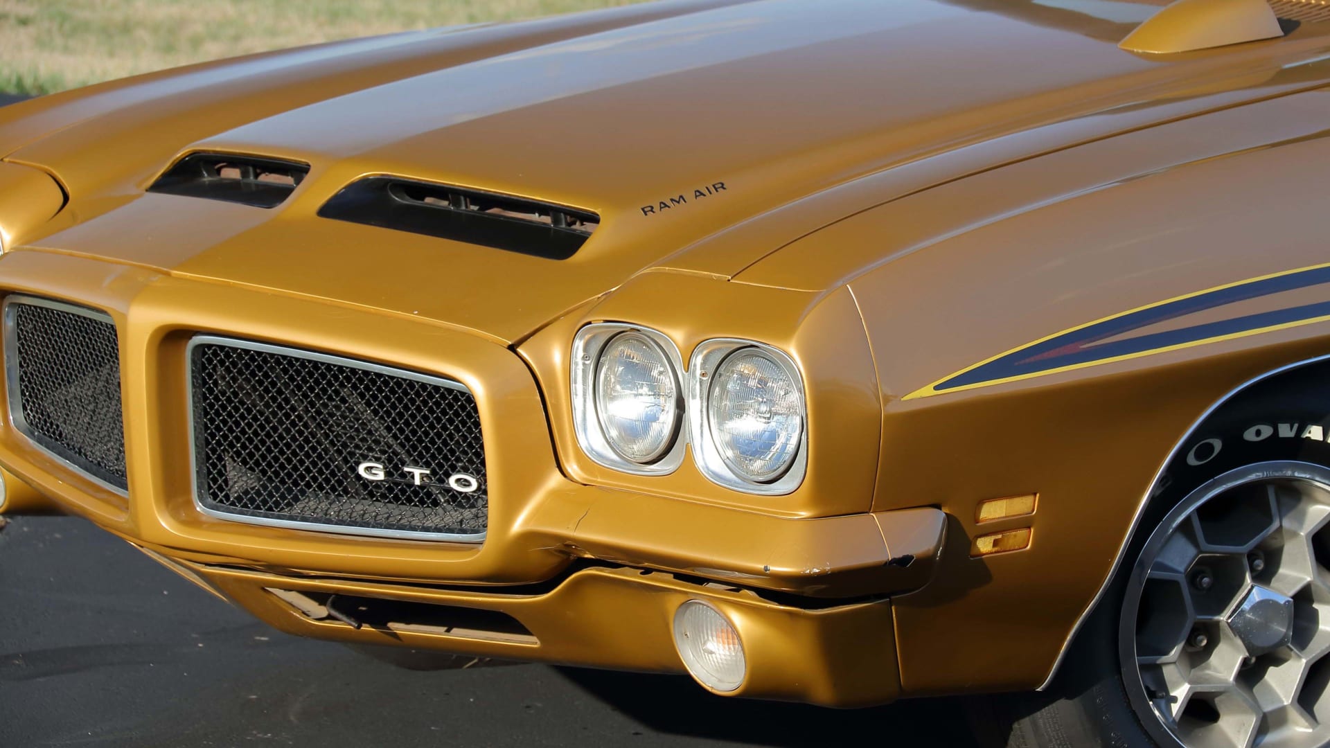 Hailey Schulte - Mecum Auctions