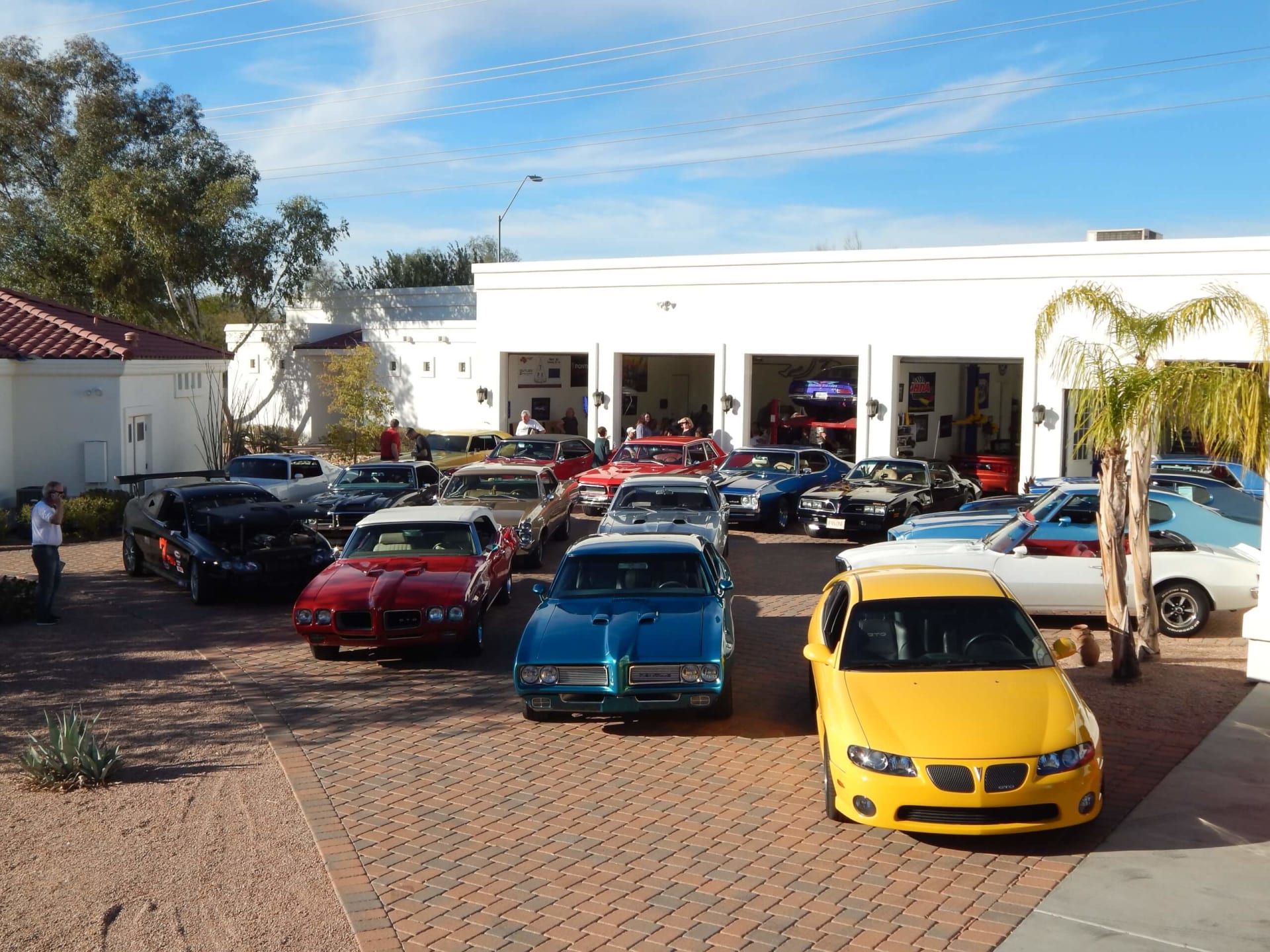 Hailey Schulte - Mecum Auctions