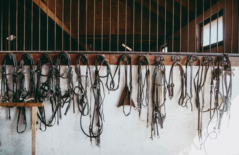 Strength Under Control | Med One to One