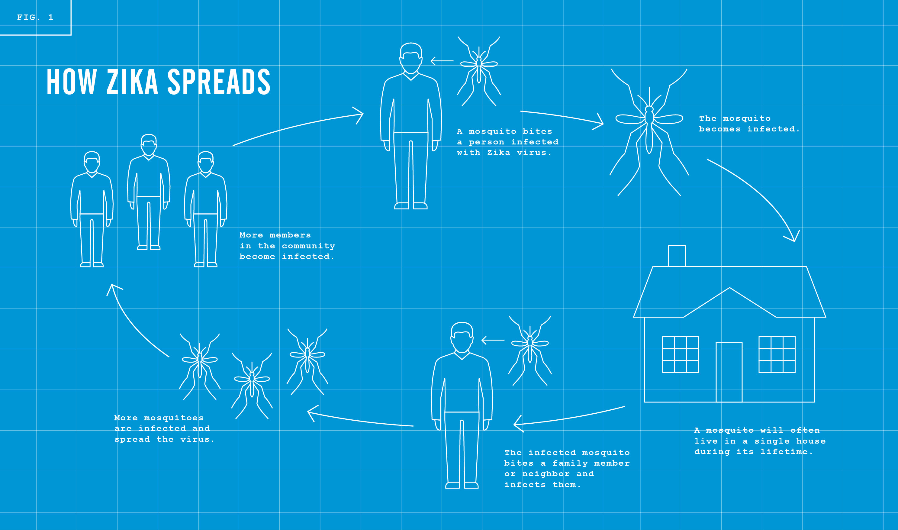 What to know about Zika virus transmission - Southern Research