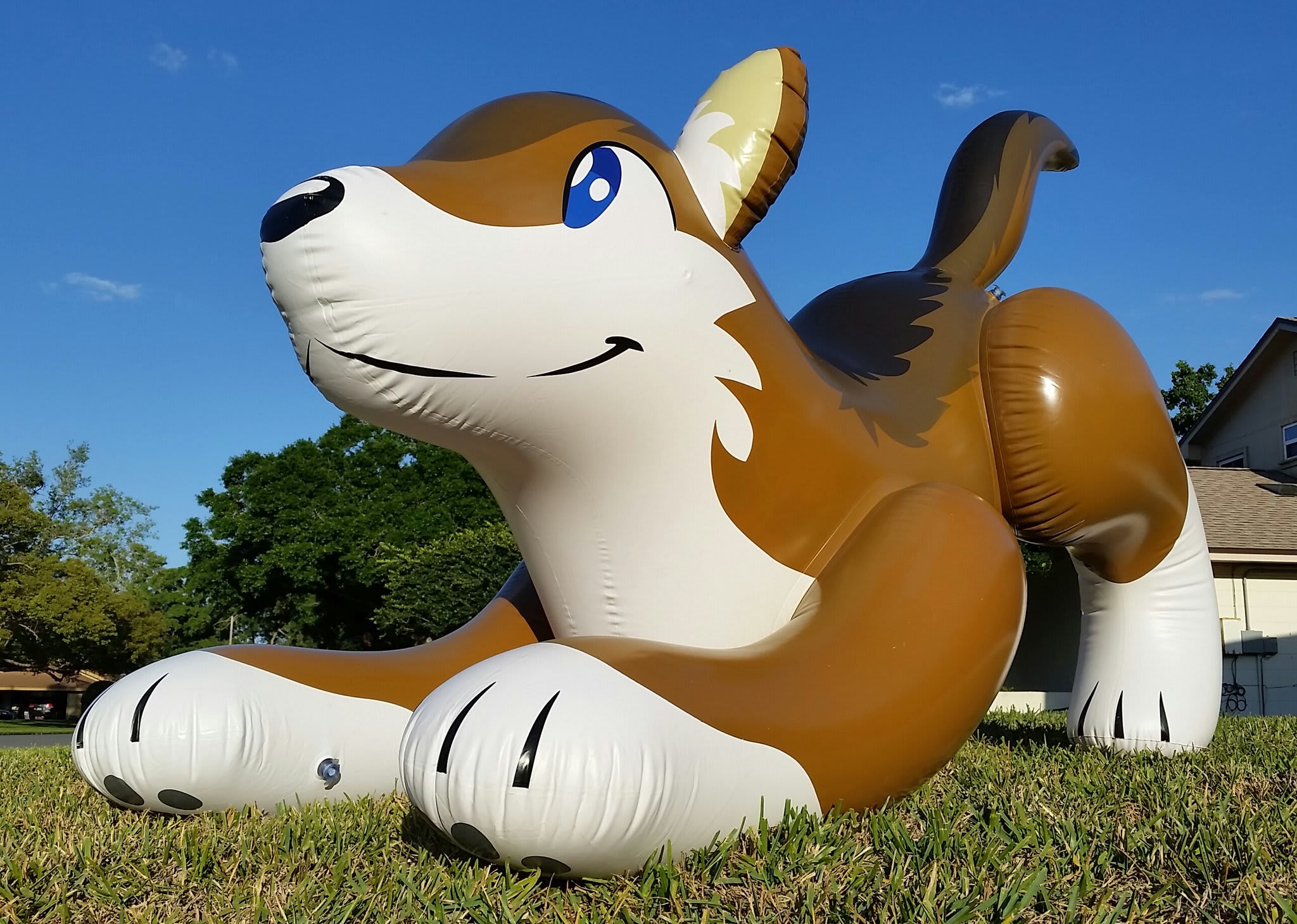 Inflatable of the Day 4/25