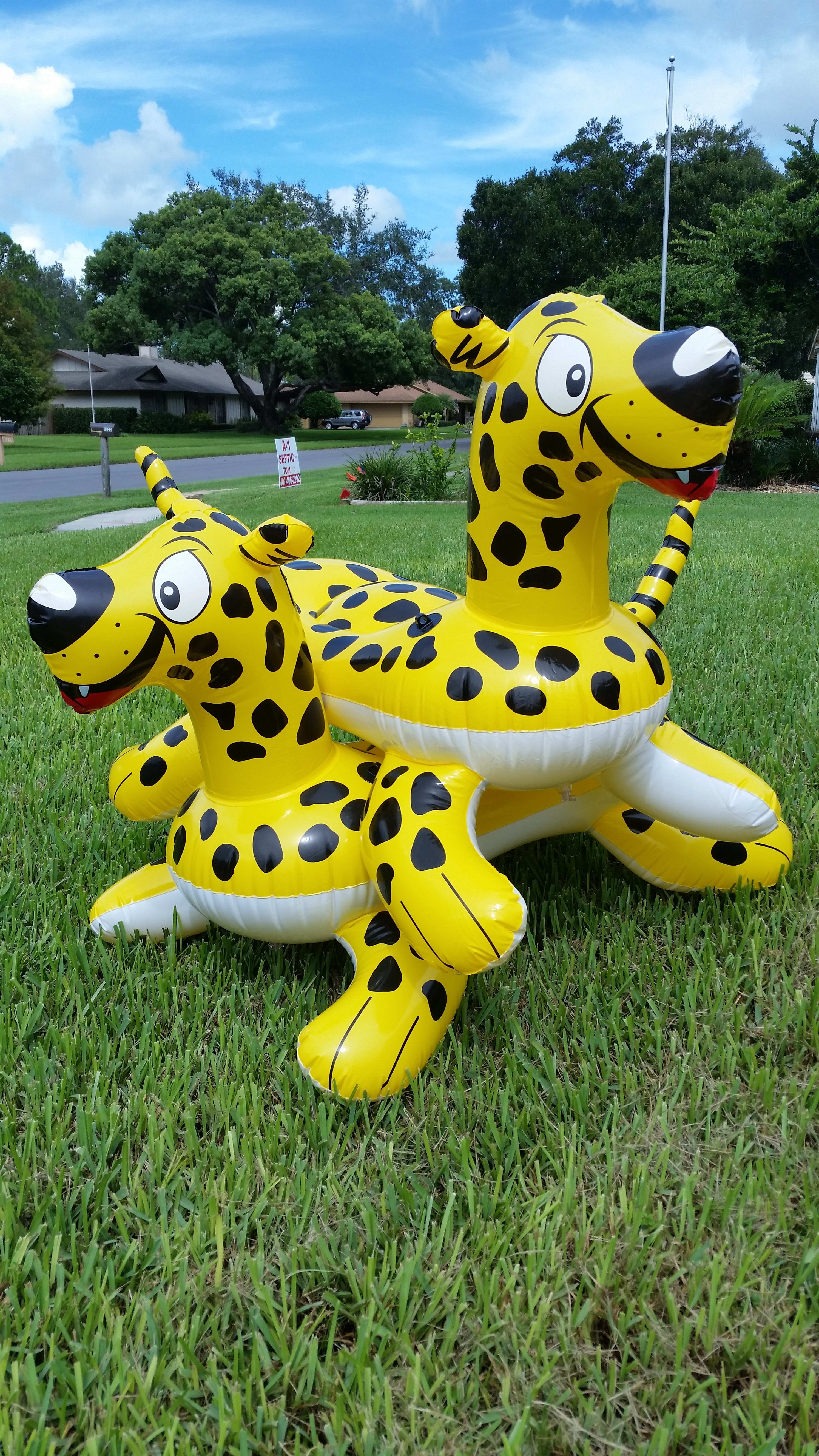 Inflatable of the Day 4/27