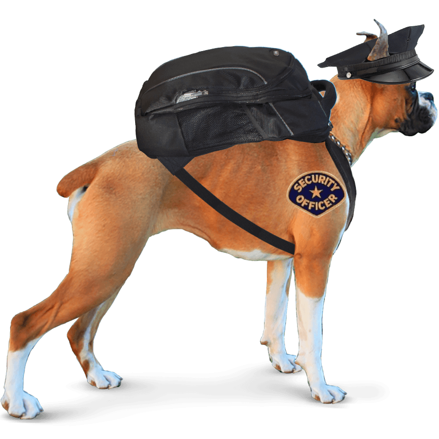 Meh: SOLO Sentinel Backpack for Technology and Stuff