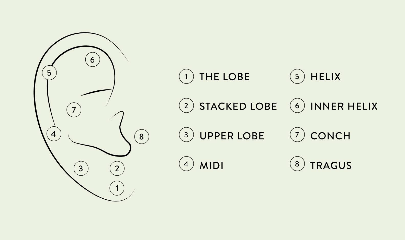 Ear Piercing Diagram
