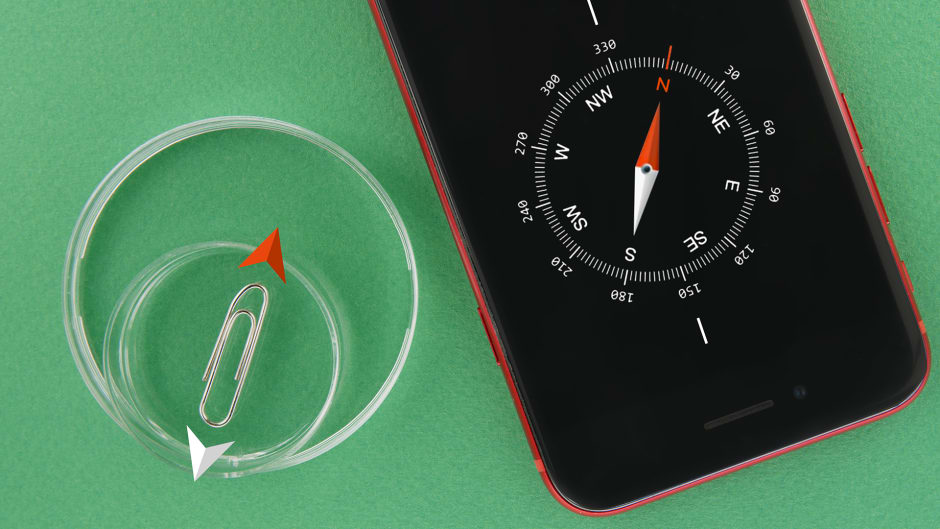 DIY compass - MEL Physics