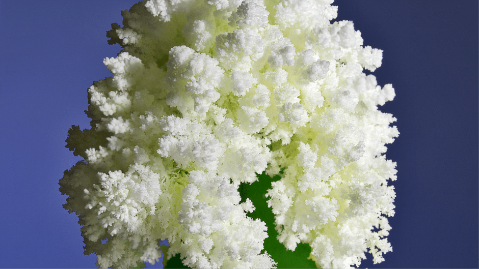 Xmas tree - MEL Chemistry