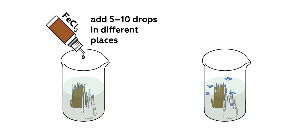 Chemical seaweed - MEL Chemistry