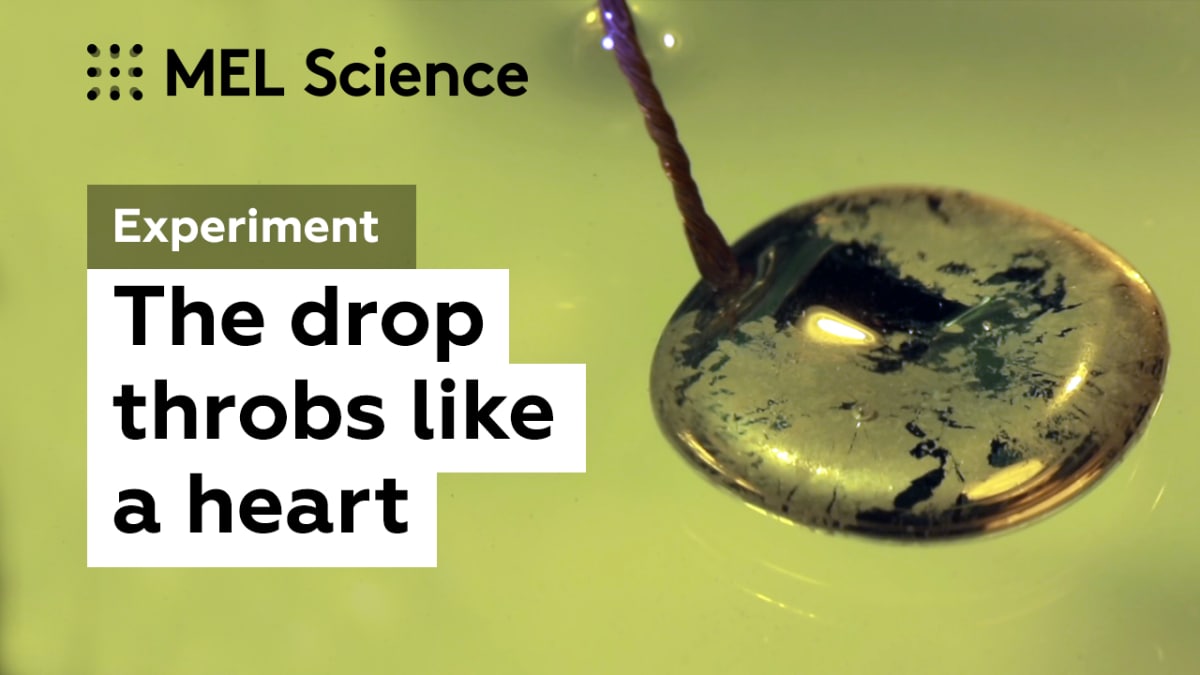 "Mercury beating heart" experiment | MEL Chemistry
