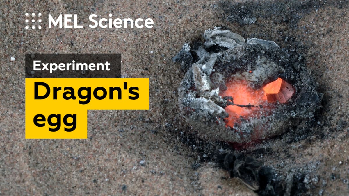 “Dragon’s egg” experiment | MEL Chemistry