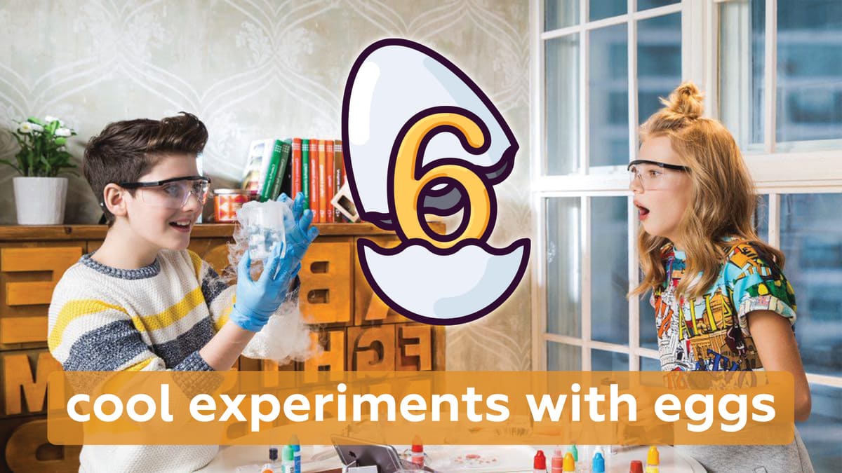 6 cool experiments with eggs | MEL Chemistry