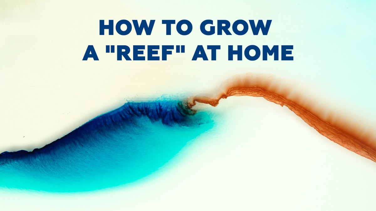 Growing a chemical “reef” | MEL Chemistry