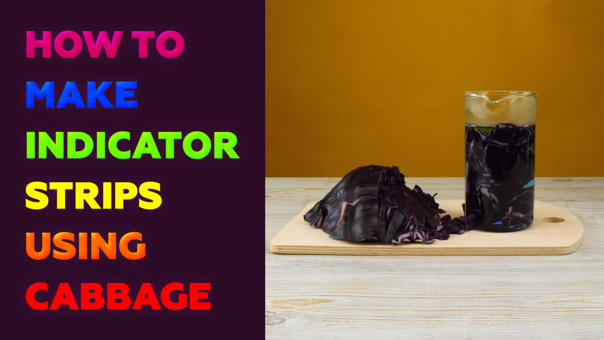 How to use cabbage to make a pH indicator | MEL Chemistry