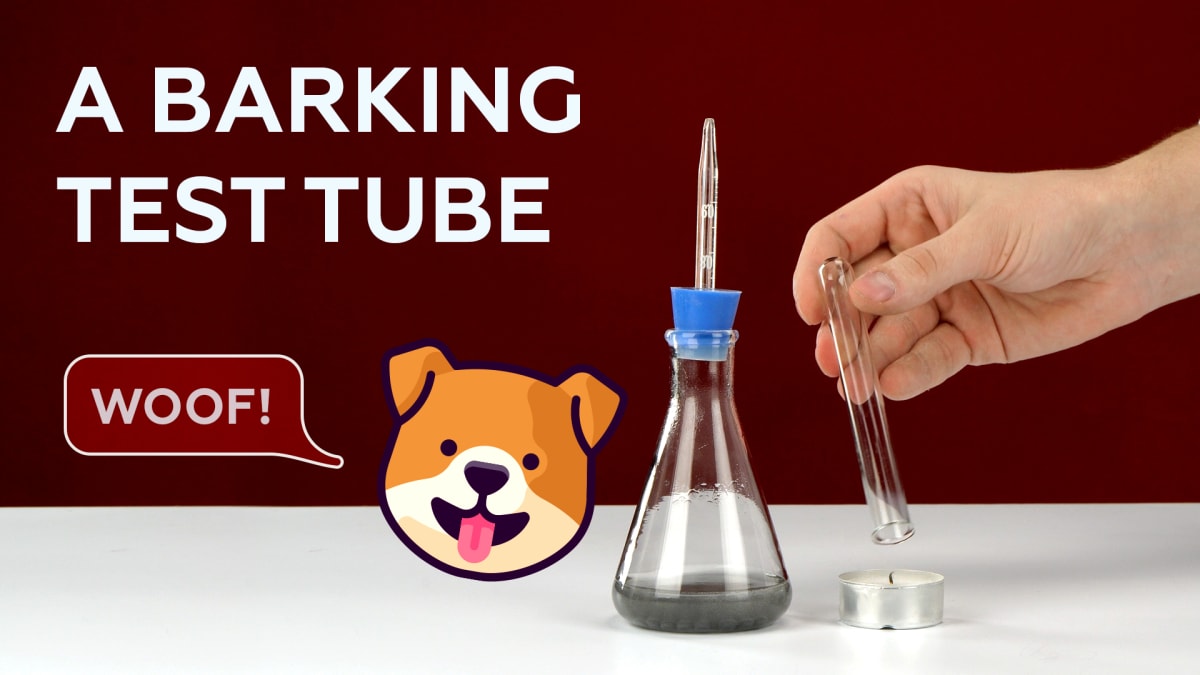 A barking test tube | MEL Chemistry