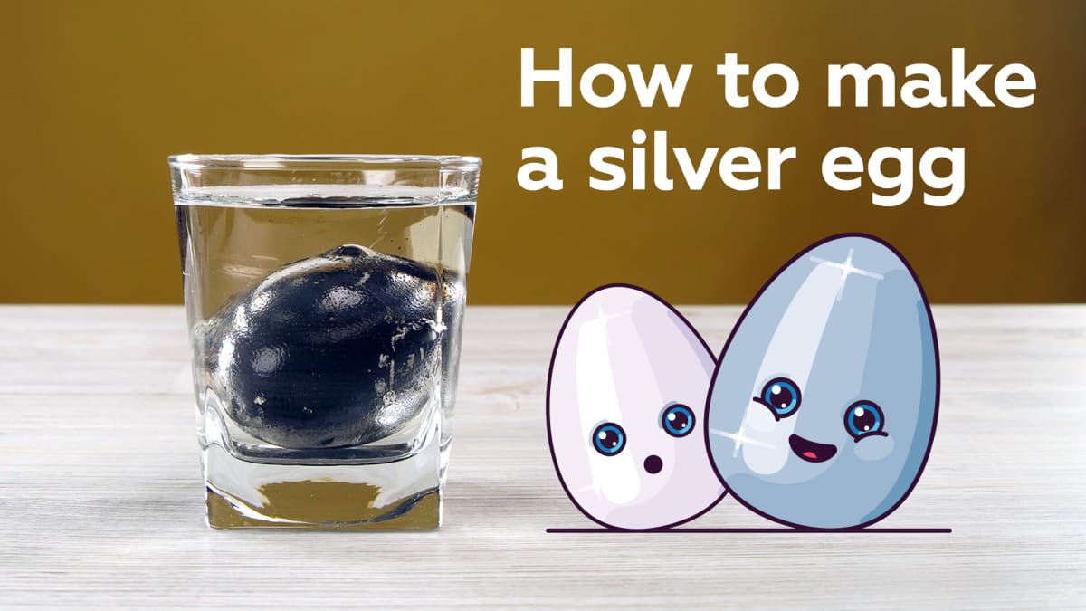 How to make a "silver" egg | MEL Chemistry