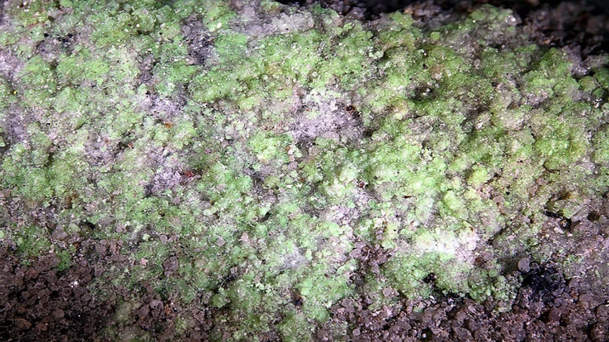 Characteristics and properties of sodium | MEL Chemistry