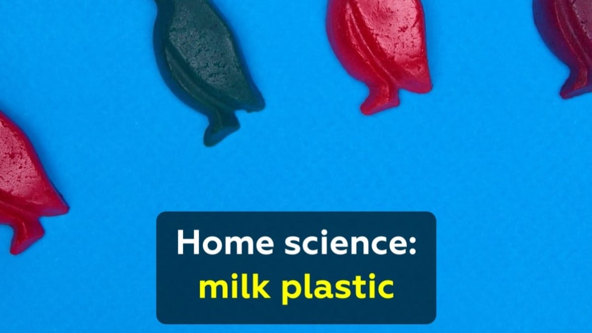 Home science: milk plastic | MEL Chemistry