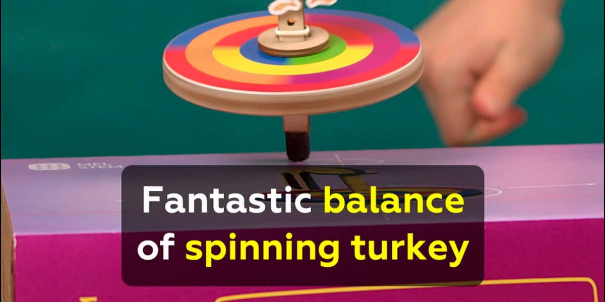 Fantastic balance of spinning turkey | MEL Chemistry
