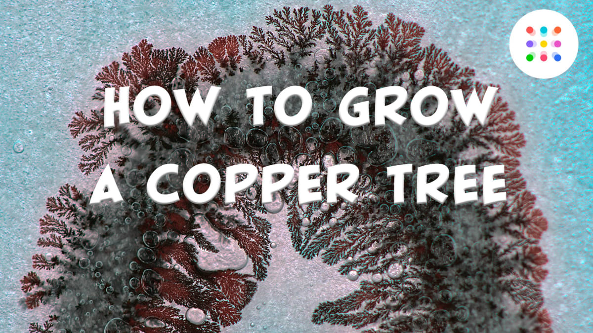 How to grow a copper tree in 1 hour | MEL Chemistry