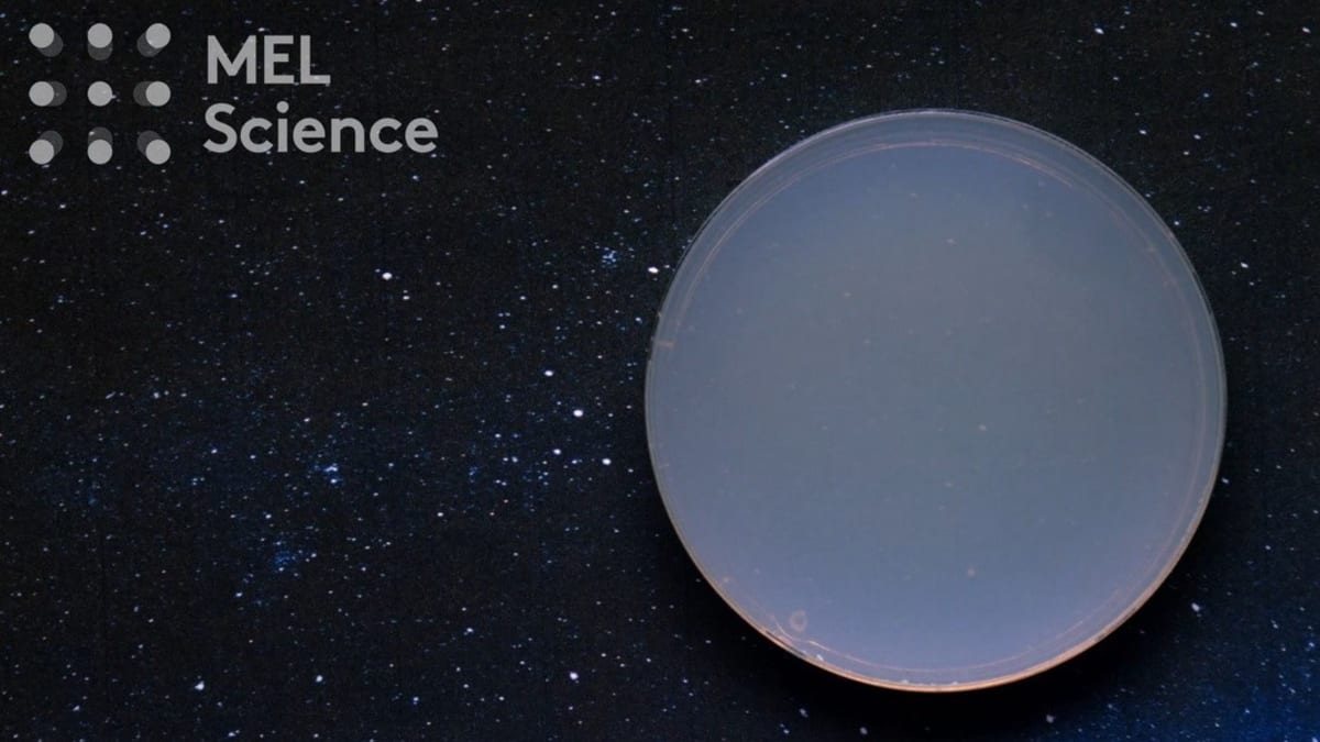 Sulfur moon | MEL Chemistry