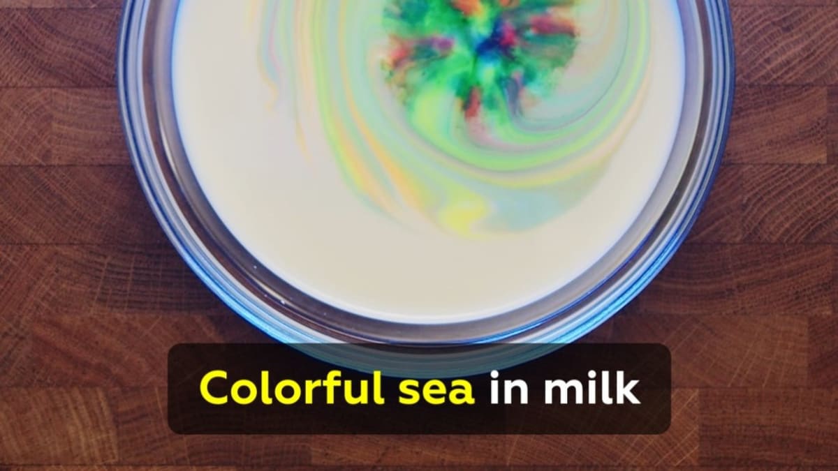 Colorful sea in milk | MEL Chemistry