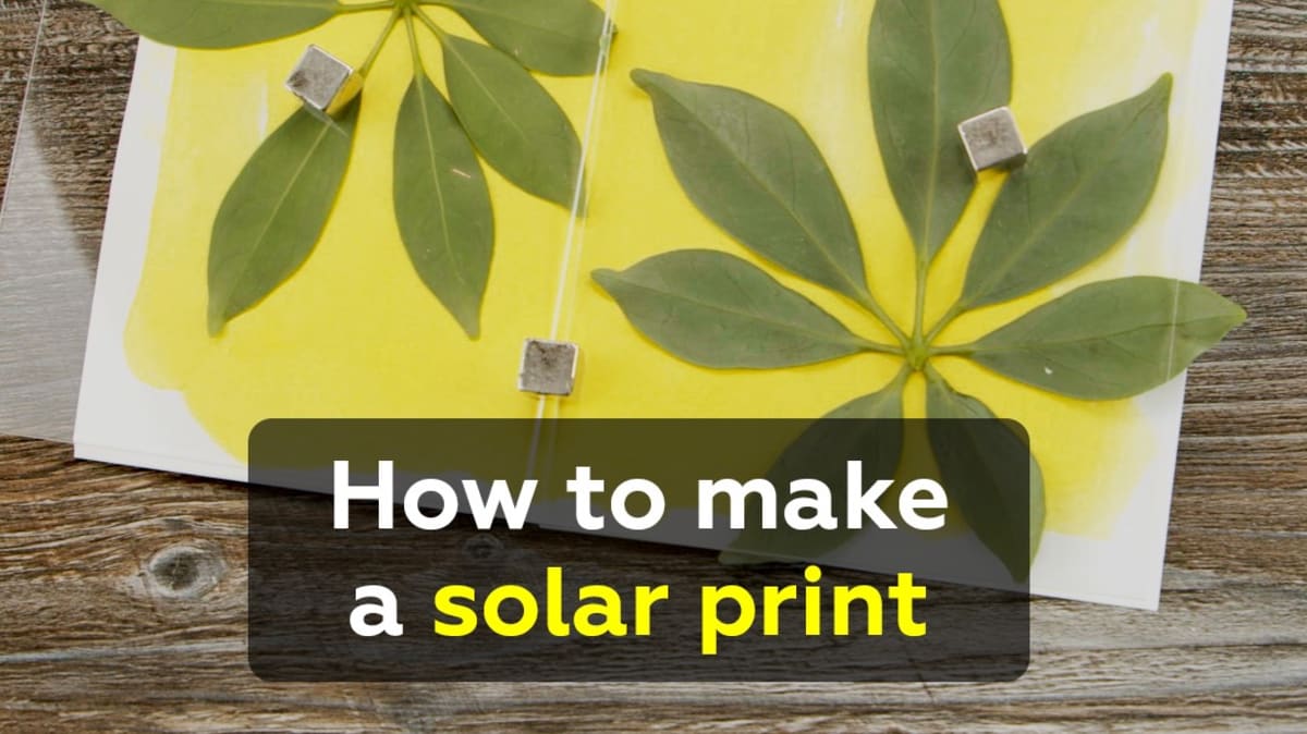 How to make a solar print | MEL Chemistry