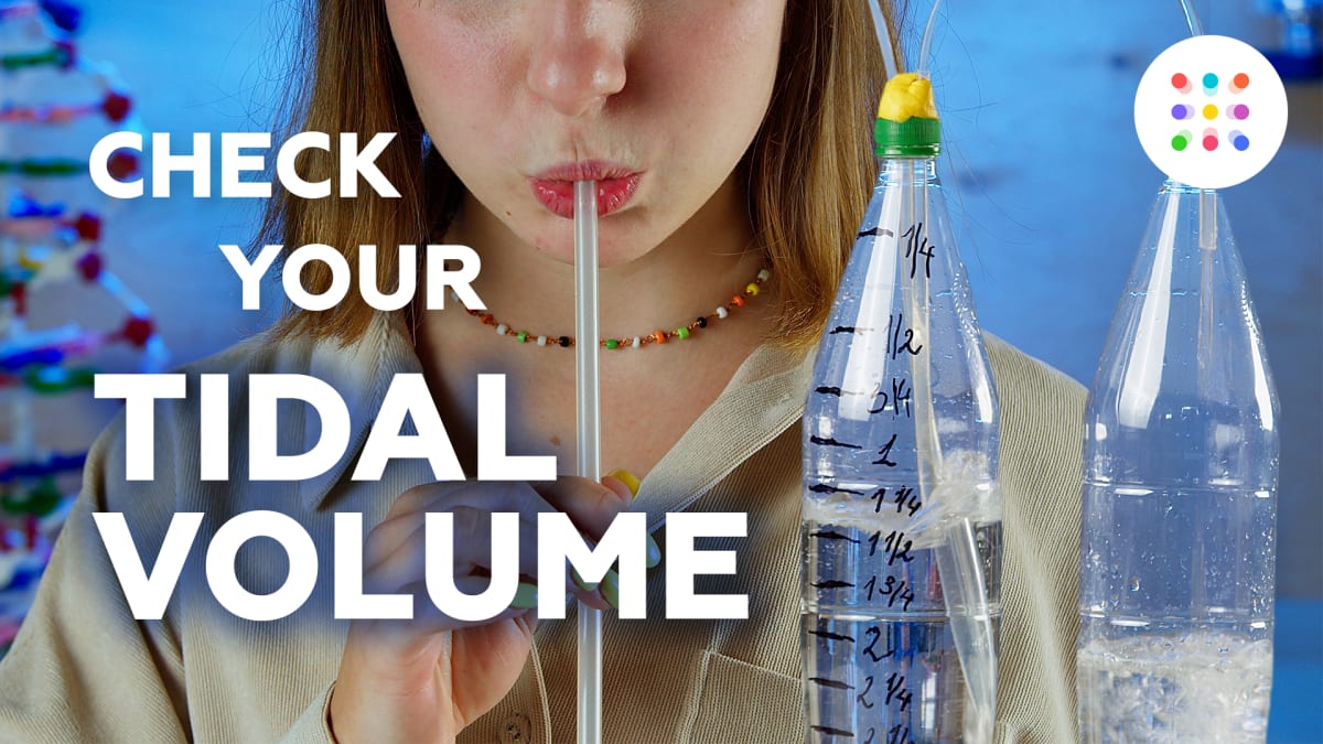 Tidal volume of your lungs | MEL Chemistry