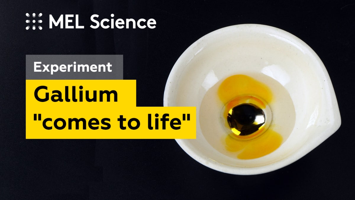 “Gallium heart” experiment | MEL Chemistry