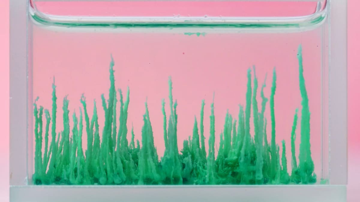 Chemical winter forest | MEL Chemistry