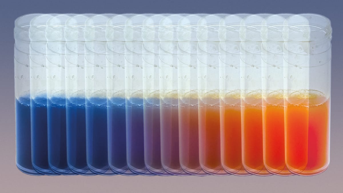 Chameleon | MEL Chemistry