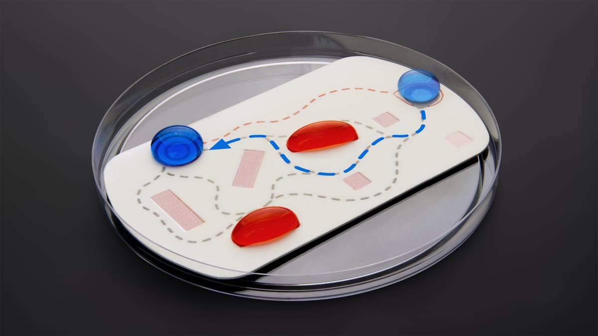 Droplet labyrinth | MEL Physics