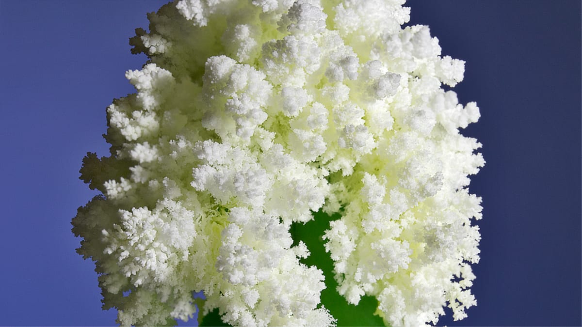 Xmas tree | MEL Chemistry