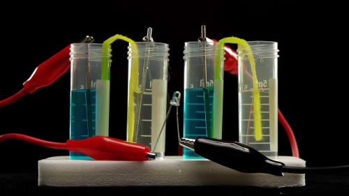 La pile Daniell - MEL Chemistry