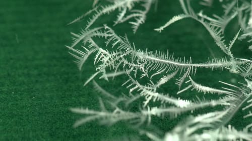 Tin dendrite - MEL Chemistry