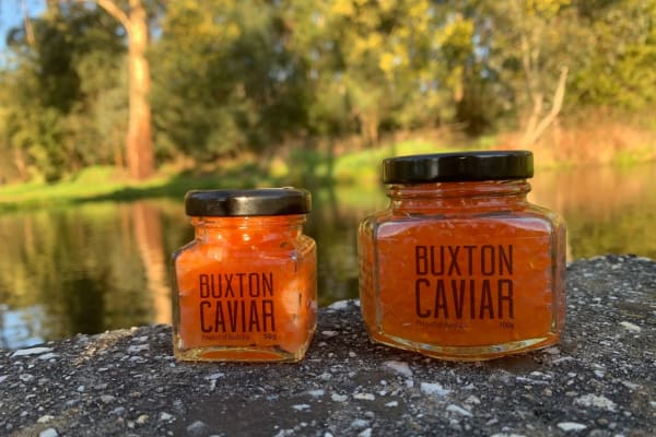 Home - Melbourne Food and Wine Festival