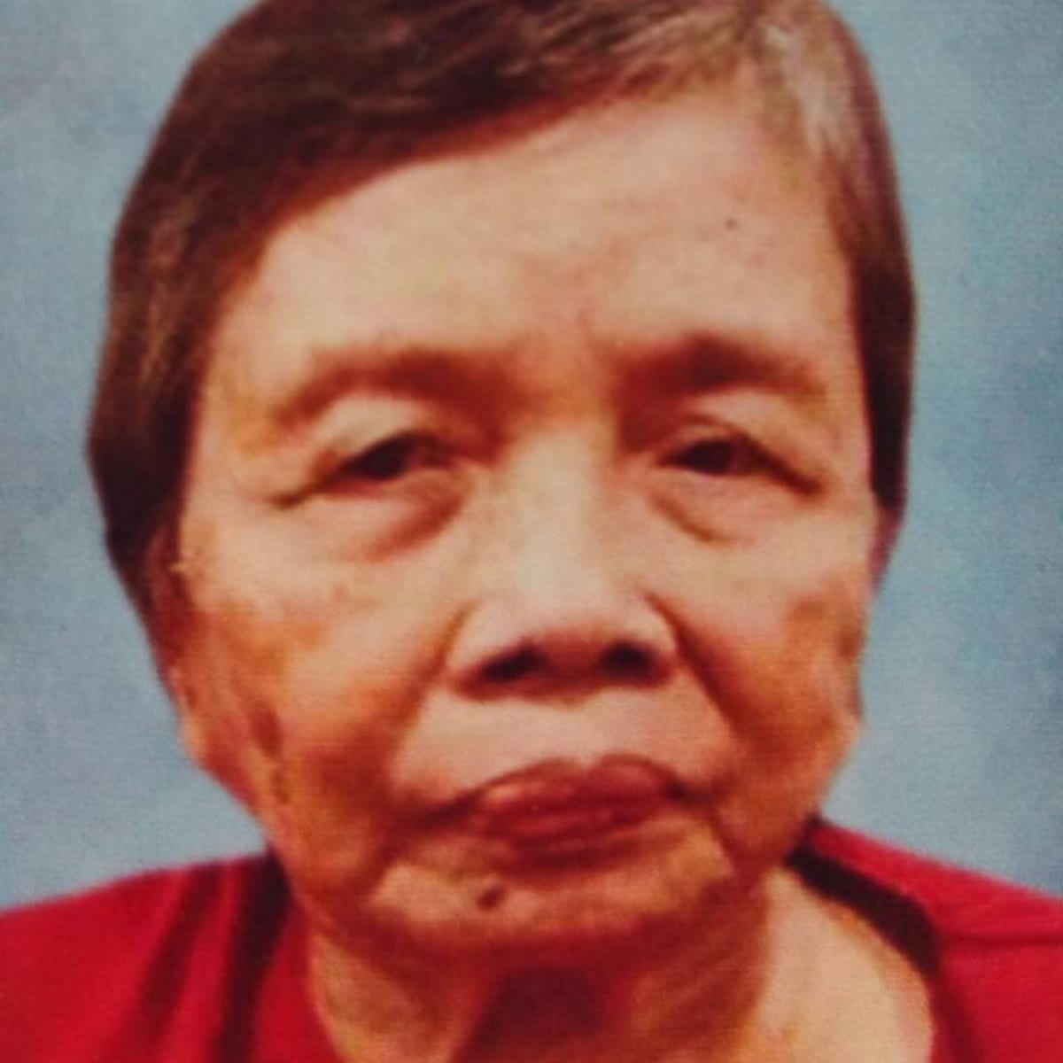 LIM SIEW HONG@LIM CHOO's Memorial