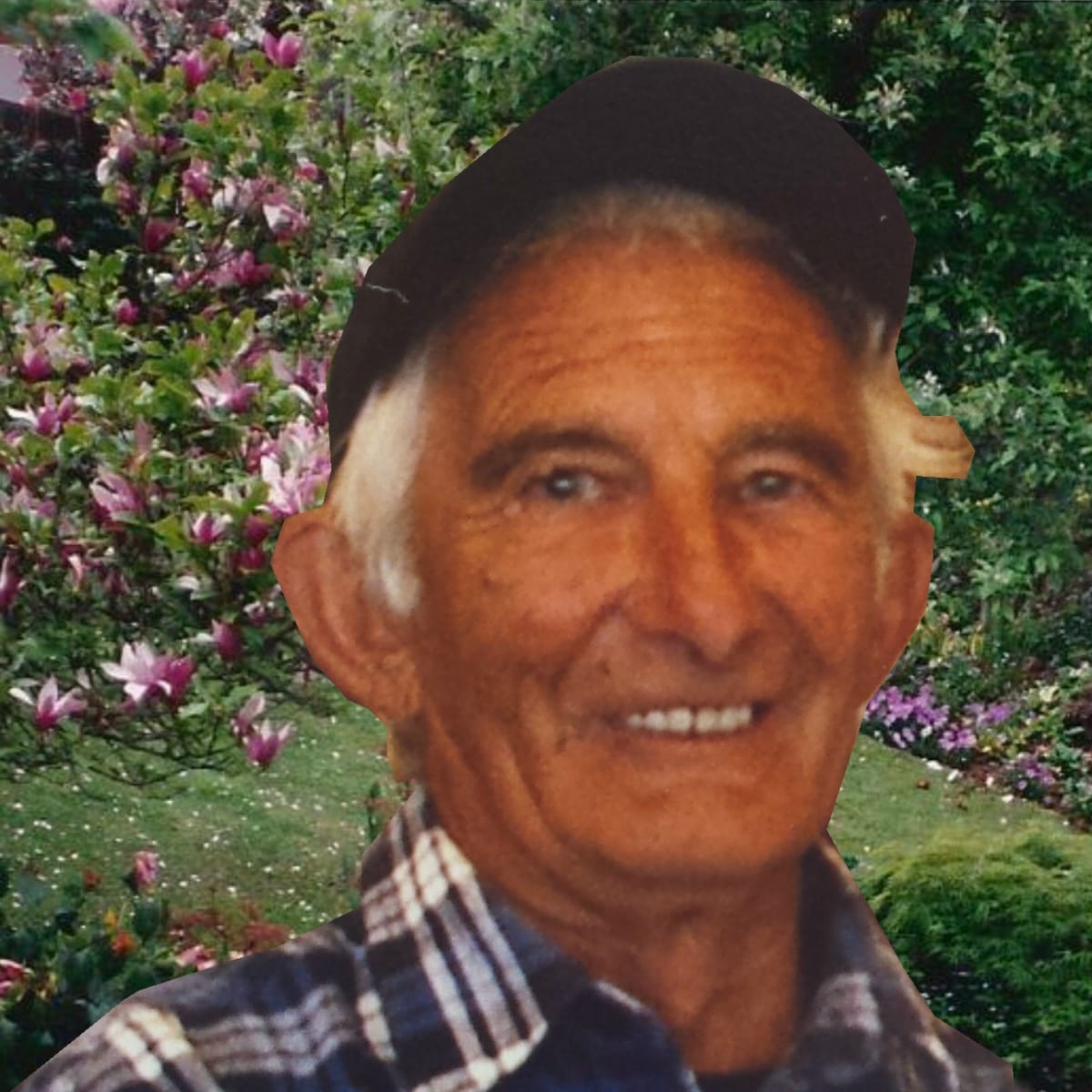 Neil Alexander's Memorial