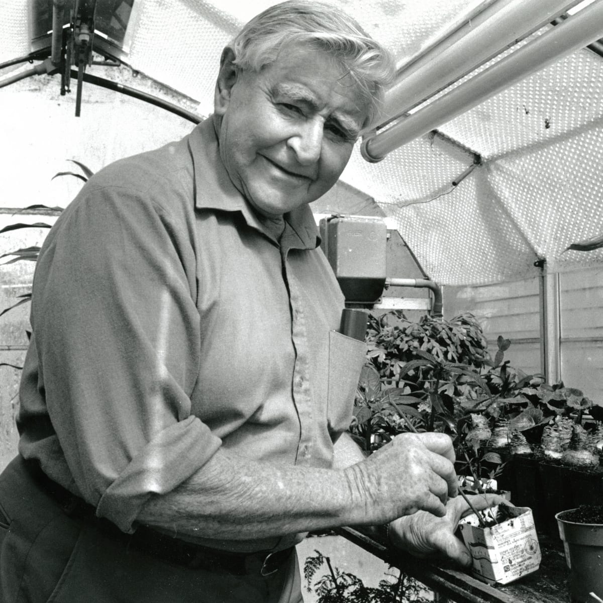 Basil Thomas's Memorial