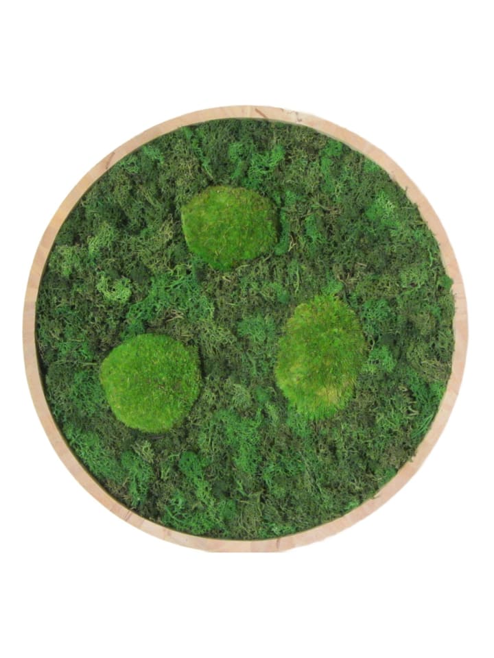 exotic living Moos Moosbild Wood rund 40cm "handmade" günstig kaufen ...