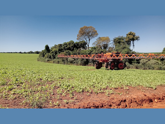 For Sale: Agriculture Farm in Alto Paraná, Paraguay