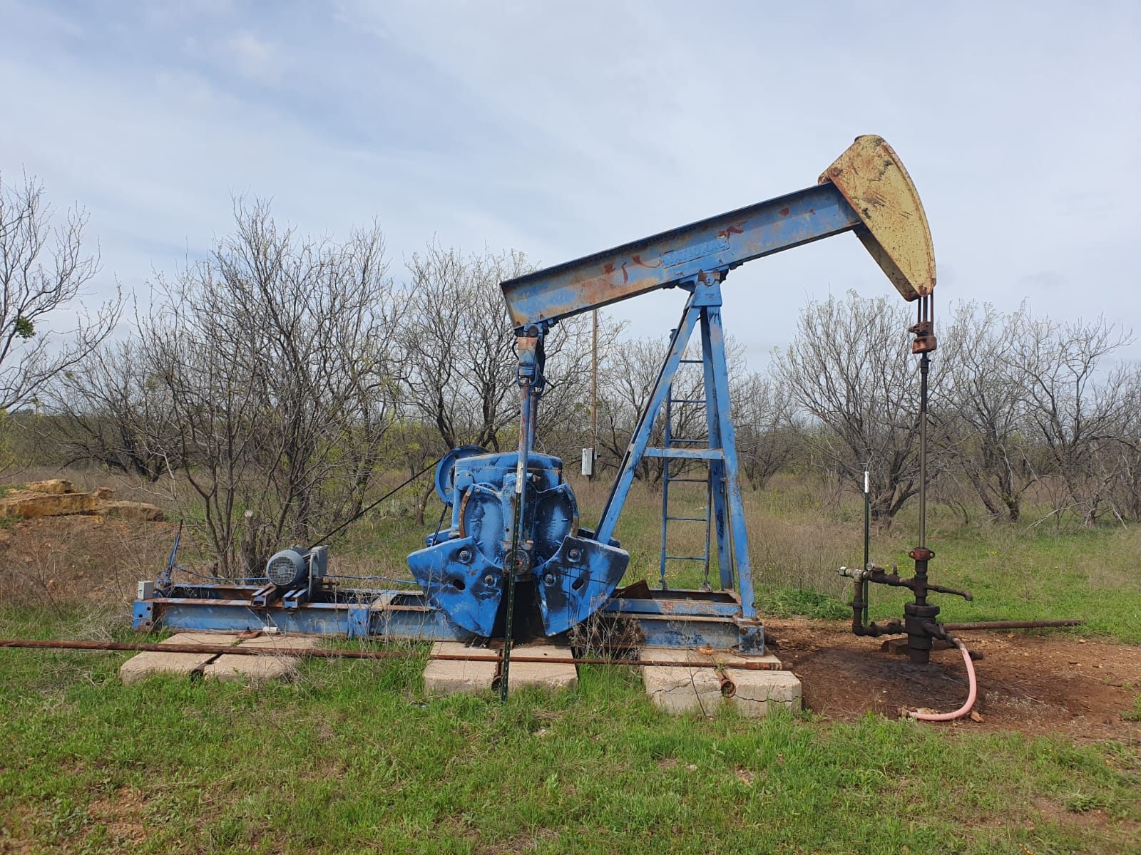 For Sale: 1 Barrel Oil Pd. 1 Well Coleman Tx | Coleman, TX
