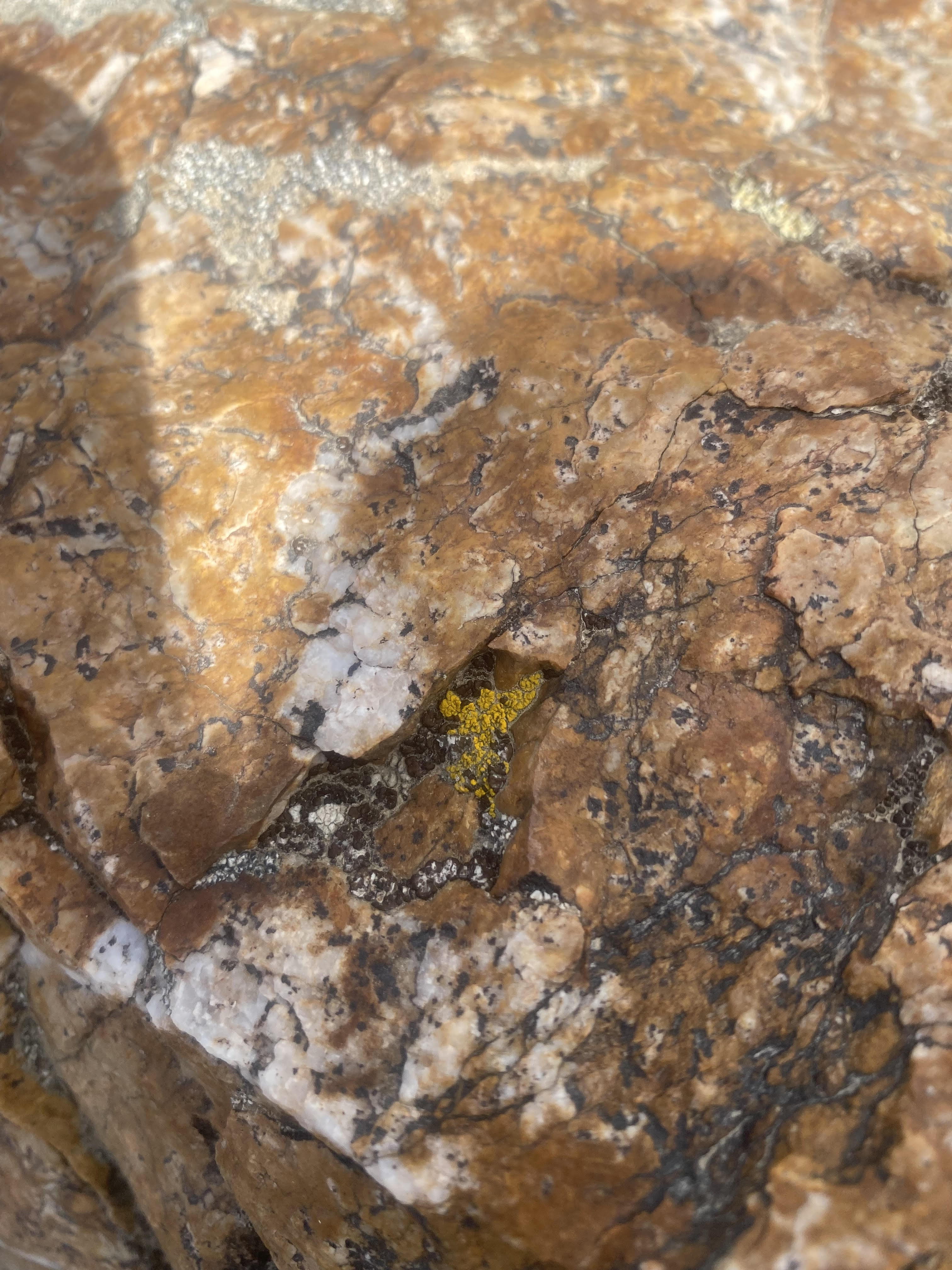 For Sale: Rubidium Mine with Gold | Nevada