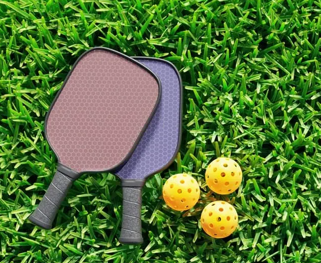 For Sale: Pickleball Sports Dropship Website Business